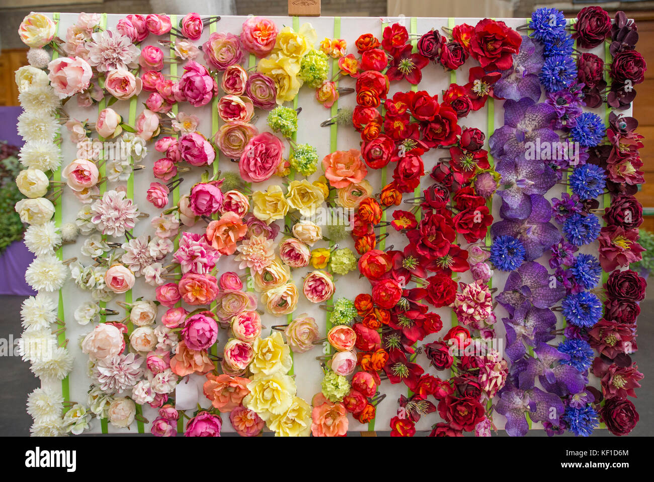 RHS Halls, London, UK. 25 October, 2017. To mark the arrival of the ...