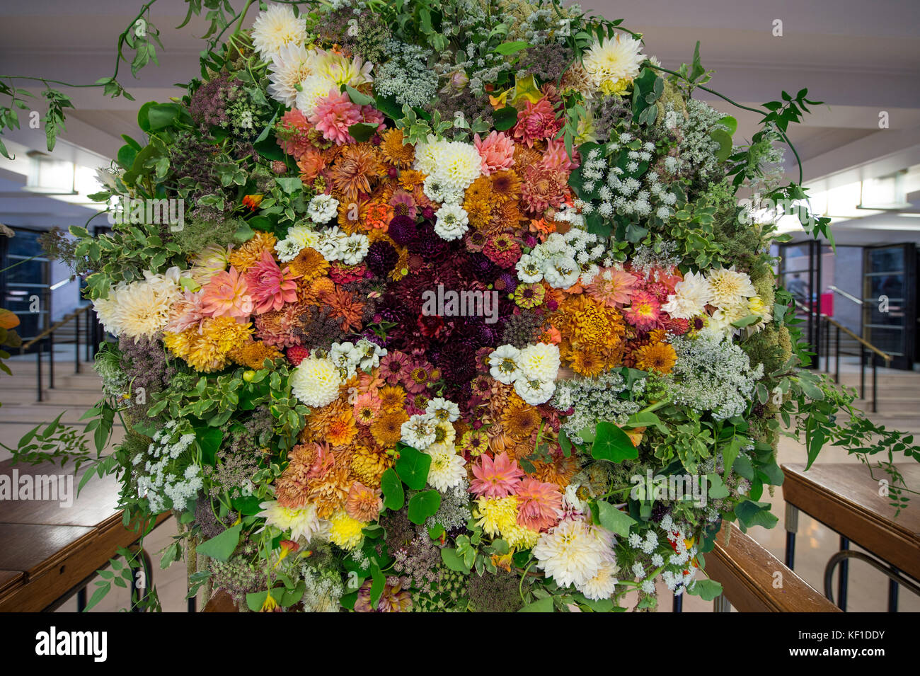 RHS Halls, London, UK. 25 October, 2017. To mark the arrival of the ...