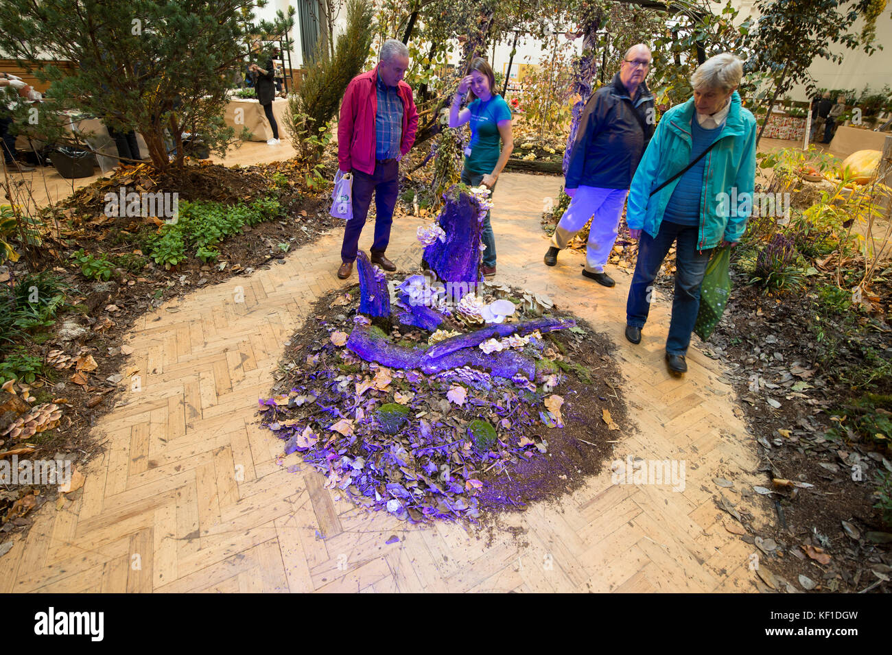 RHS Halls, London, UK. 25 October, 2017. To mark the arrival of the ...