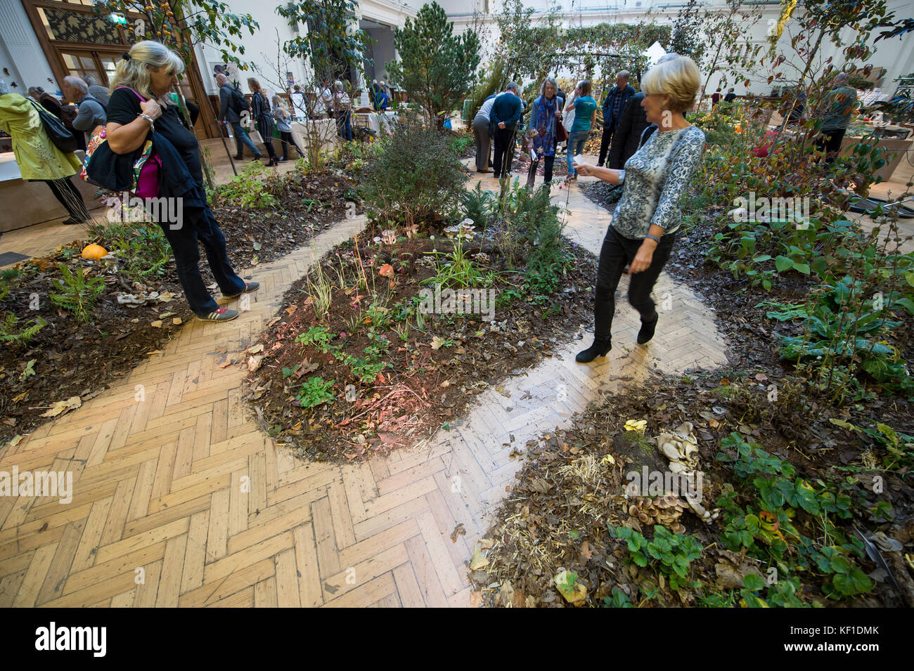 RHS Halls, London, UK. 25 October, 2017. To mark the arrival of the ...