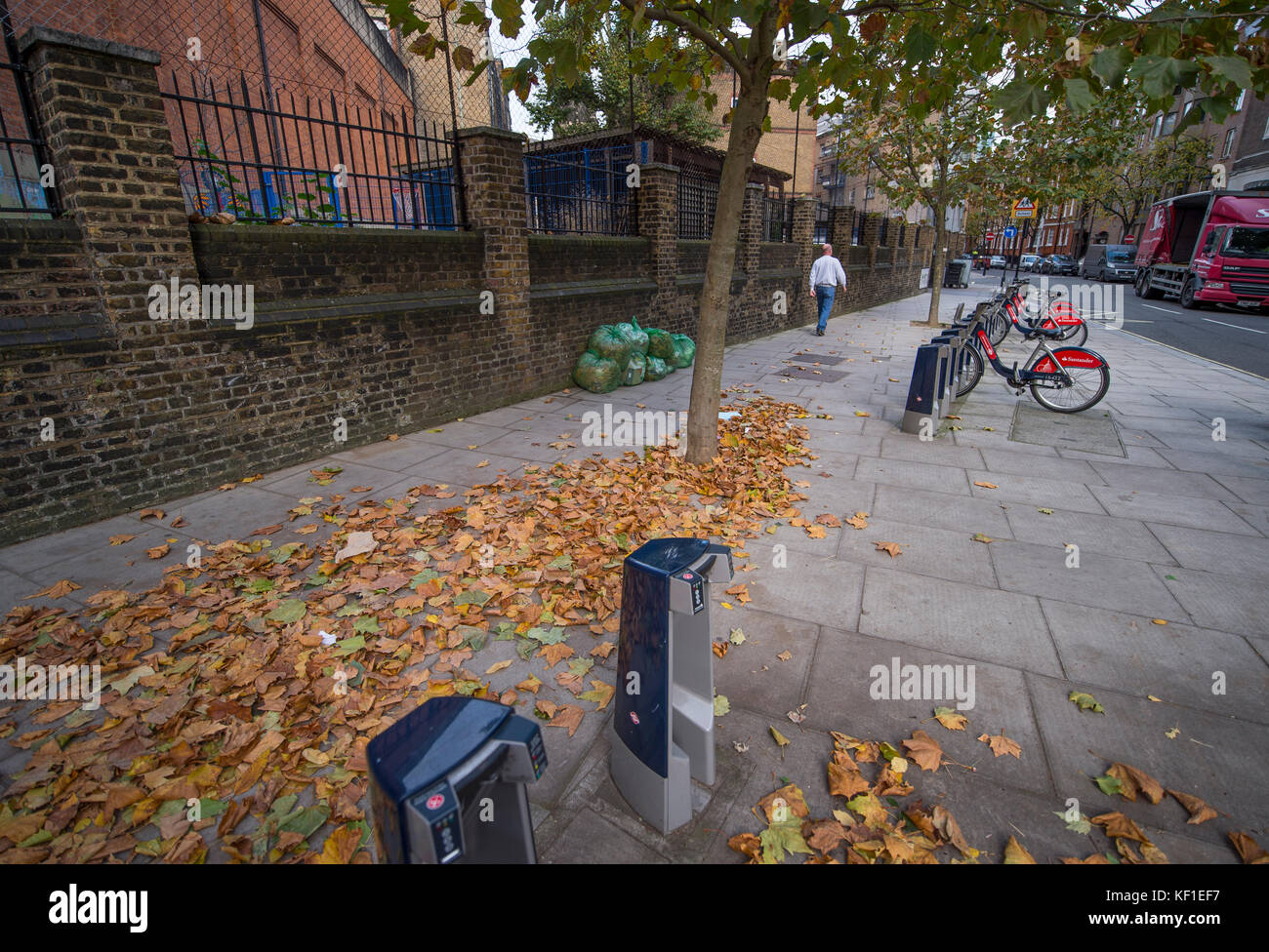 RHS Halls, London, UK. 25 October, 2017. To mark the arrival of the ...