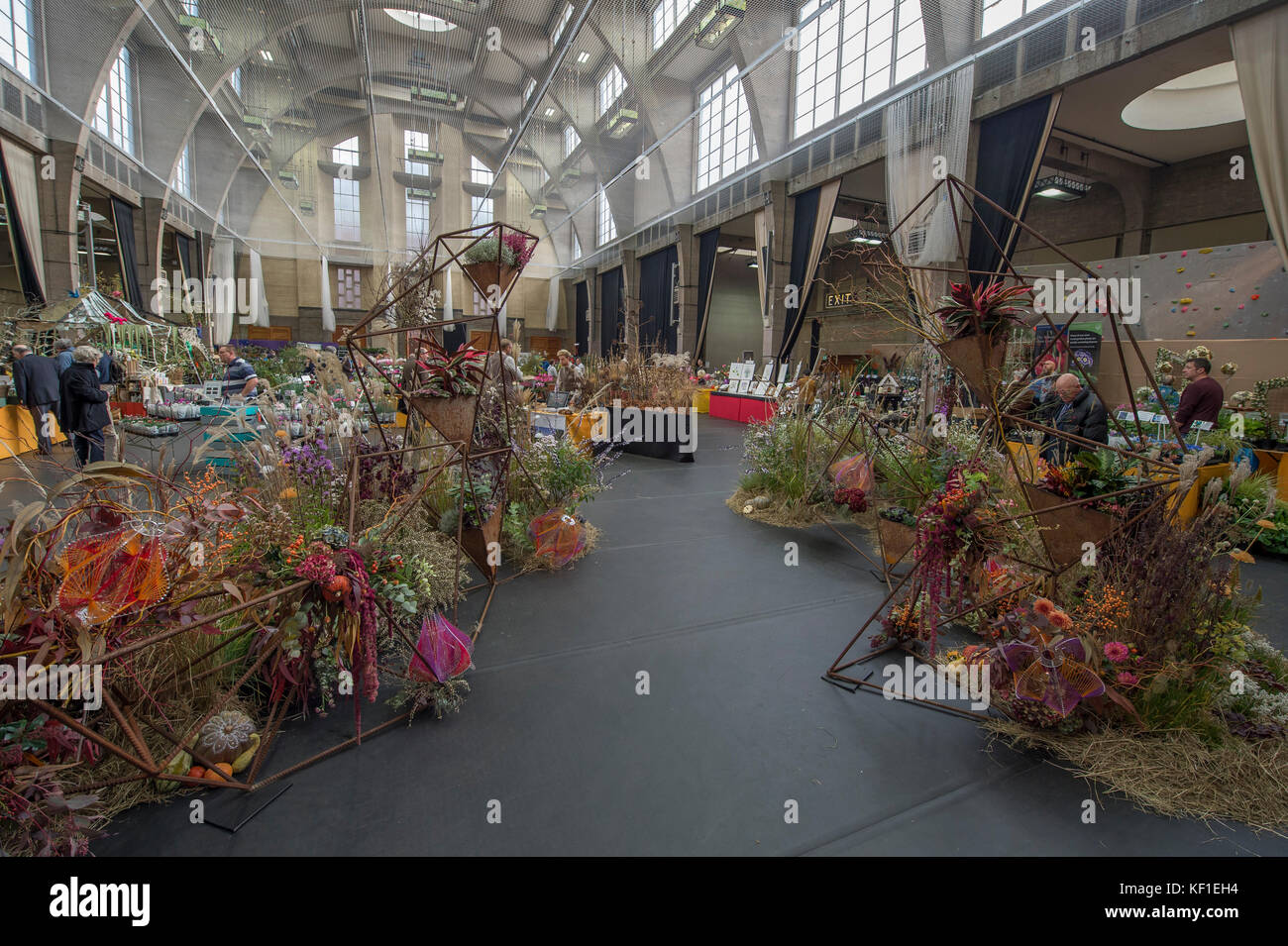 RHS Halls, London, UK. 25 October, 2017. To mark the arrival of the ...