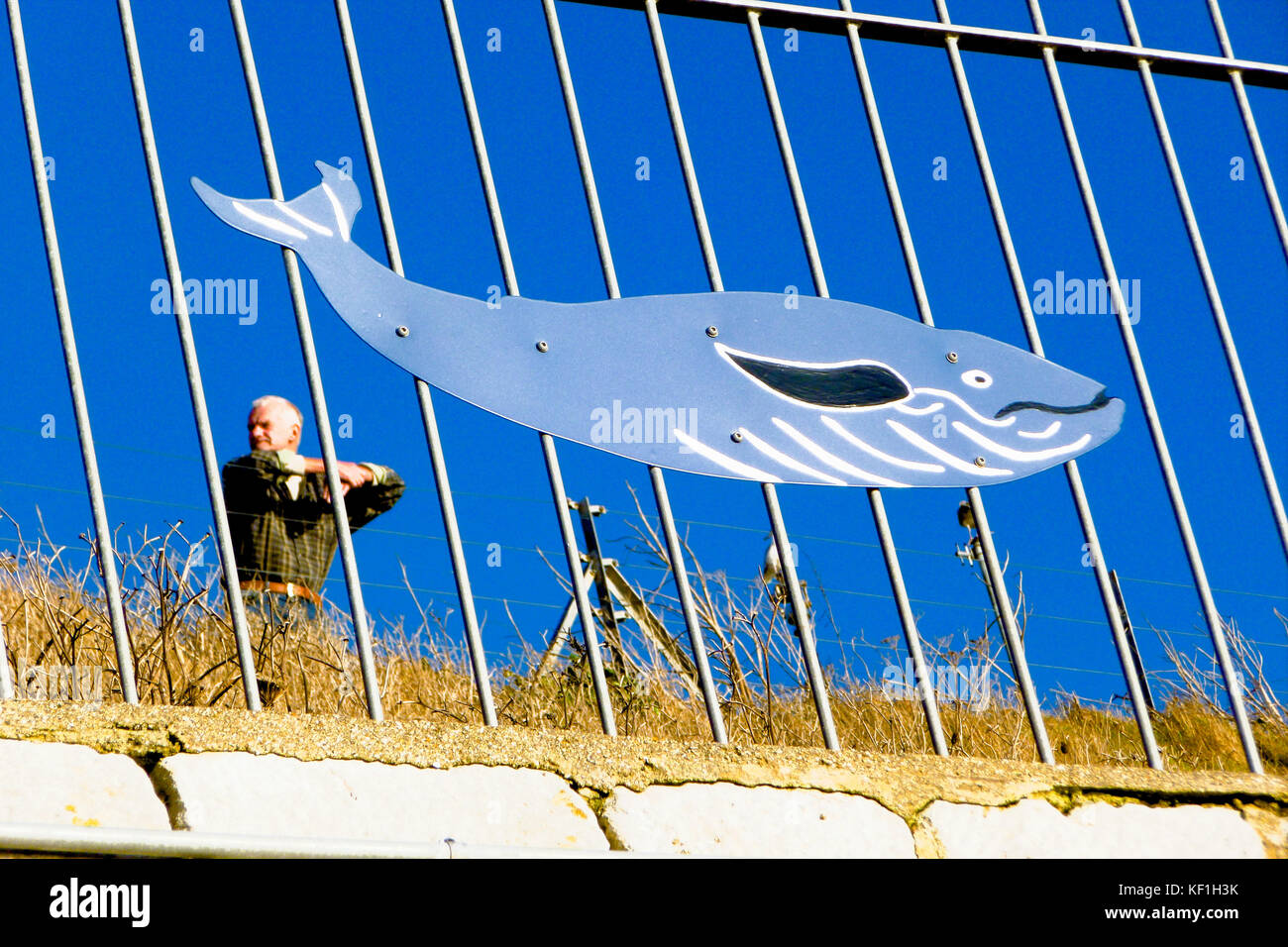 Portland, UK. 25th October 2017 - A welcome dry and sunny day on Chesil ...