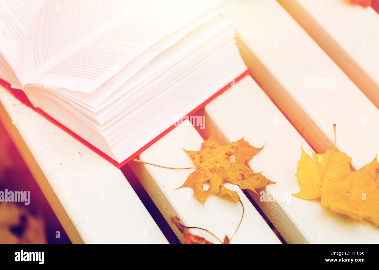 open book and autumn leaves on park bench Stock Photo - Alamy