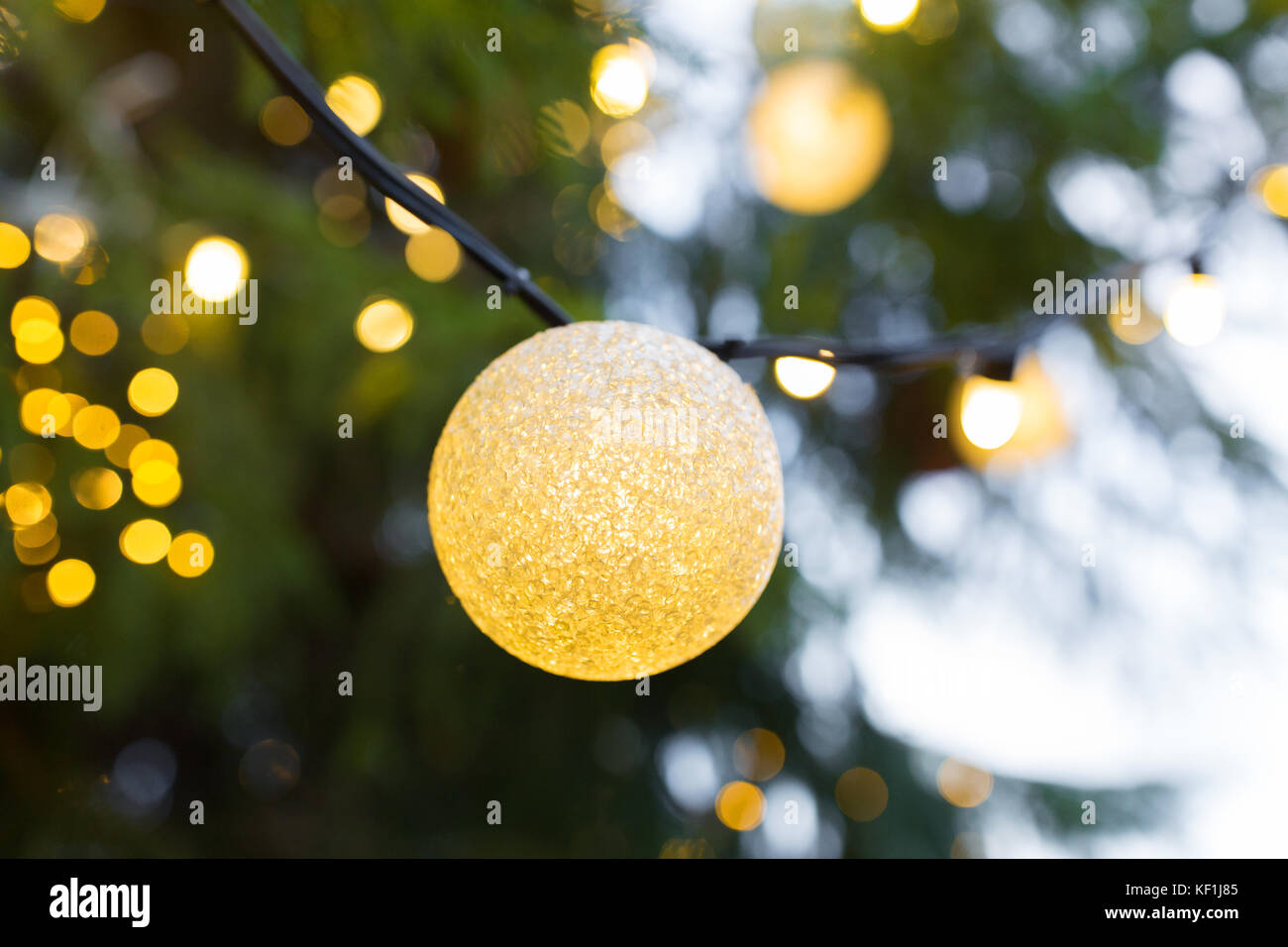 Lightbulb tree hi-res stock photography and images - Alamy