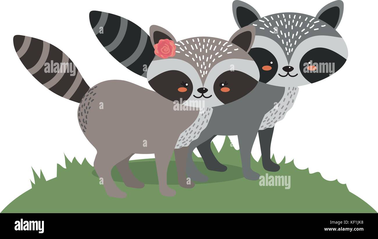 cute raccoon animal couple together Stock Vector Image & Art - Alamy