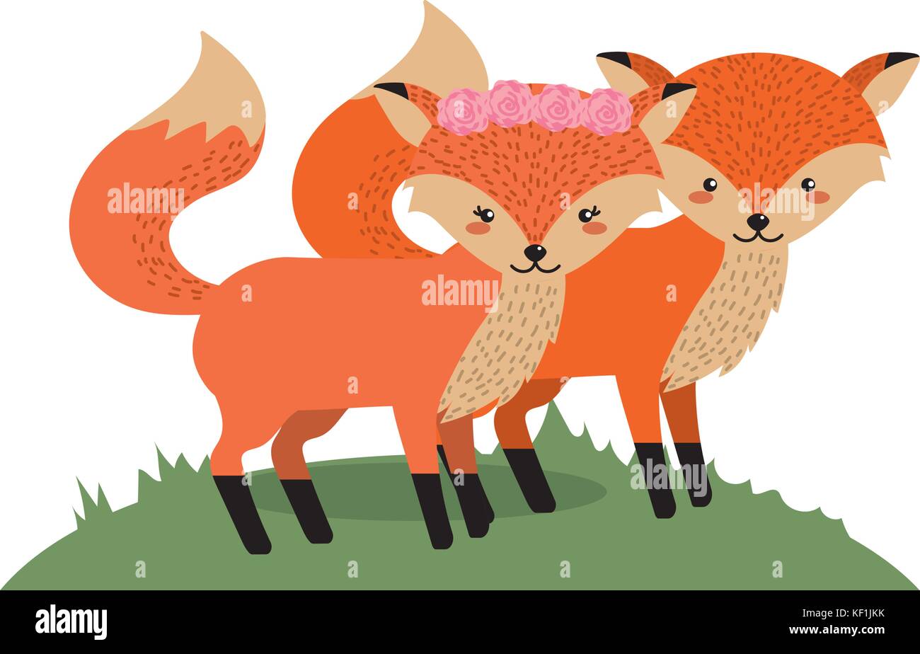 cute fox animal couple together Stock Vector Image & Art - Alamy