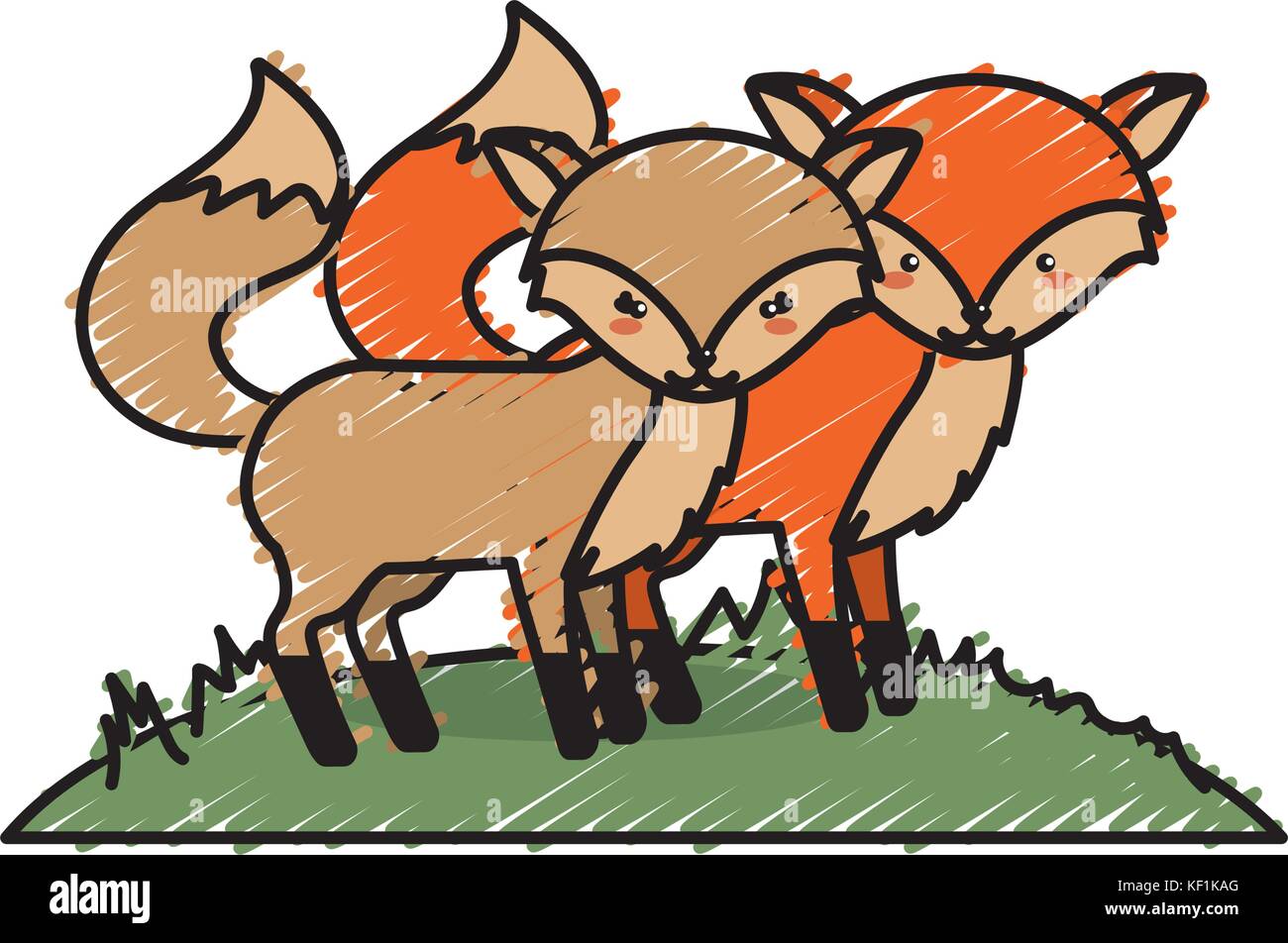 Fox animals couple together hi-res stock photography and images - Alamy