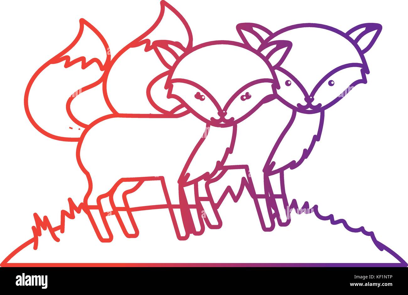line cute fox animal couple together Stock Vector Image & Art - Alamy