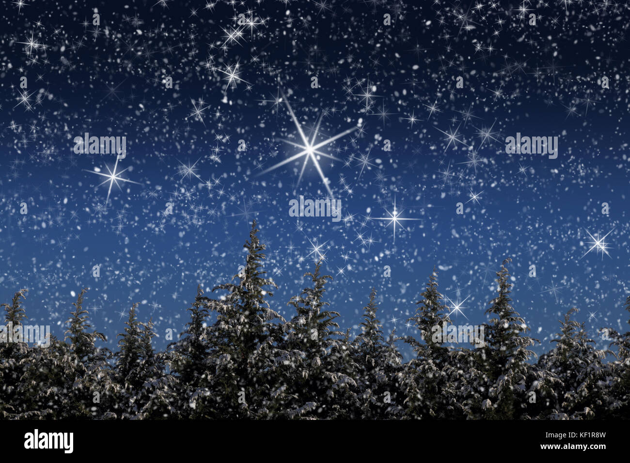 Beautiful winter landscape with snow covered trees at night Stock Photo ...