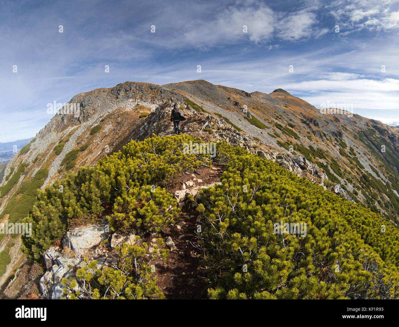 trekking in Calimani mountains, Romania Stock Photo - Alamy