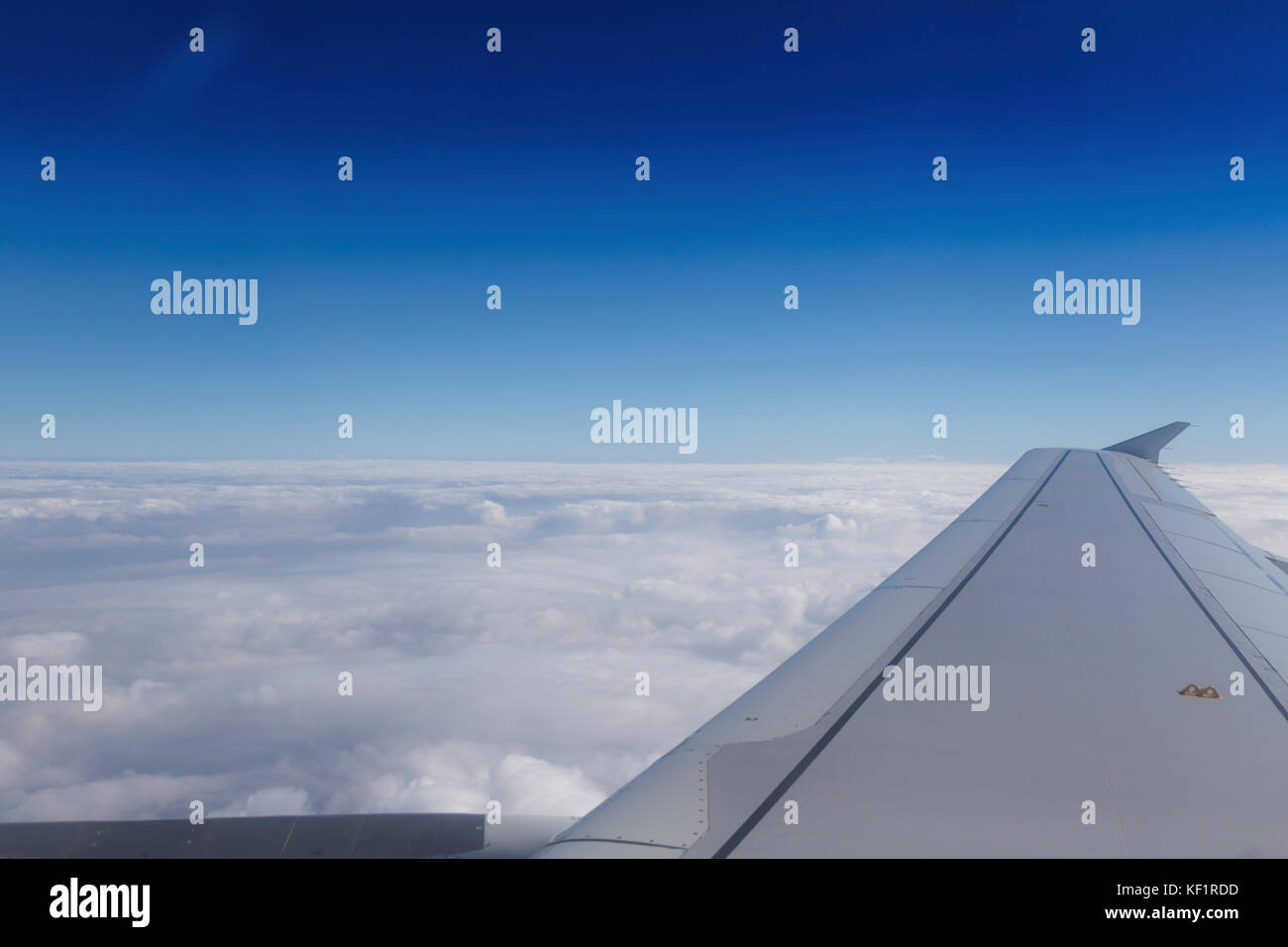 Blue wing airlines hi-res stock photography and images - Alamy