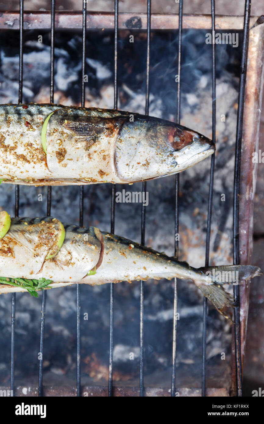 Grilled fish with spices on fire close up. Grilling fish dorado on ...