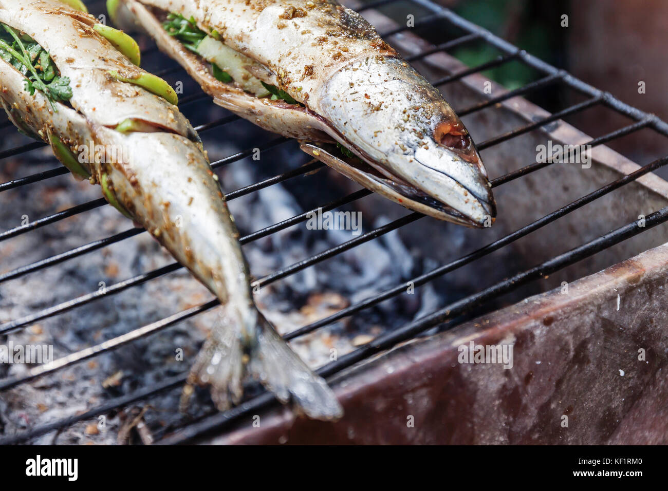 Grilled fish with spices on fire close up. Grilling fish dorado on ...