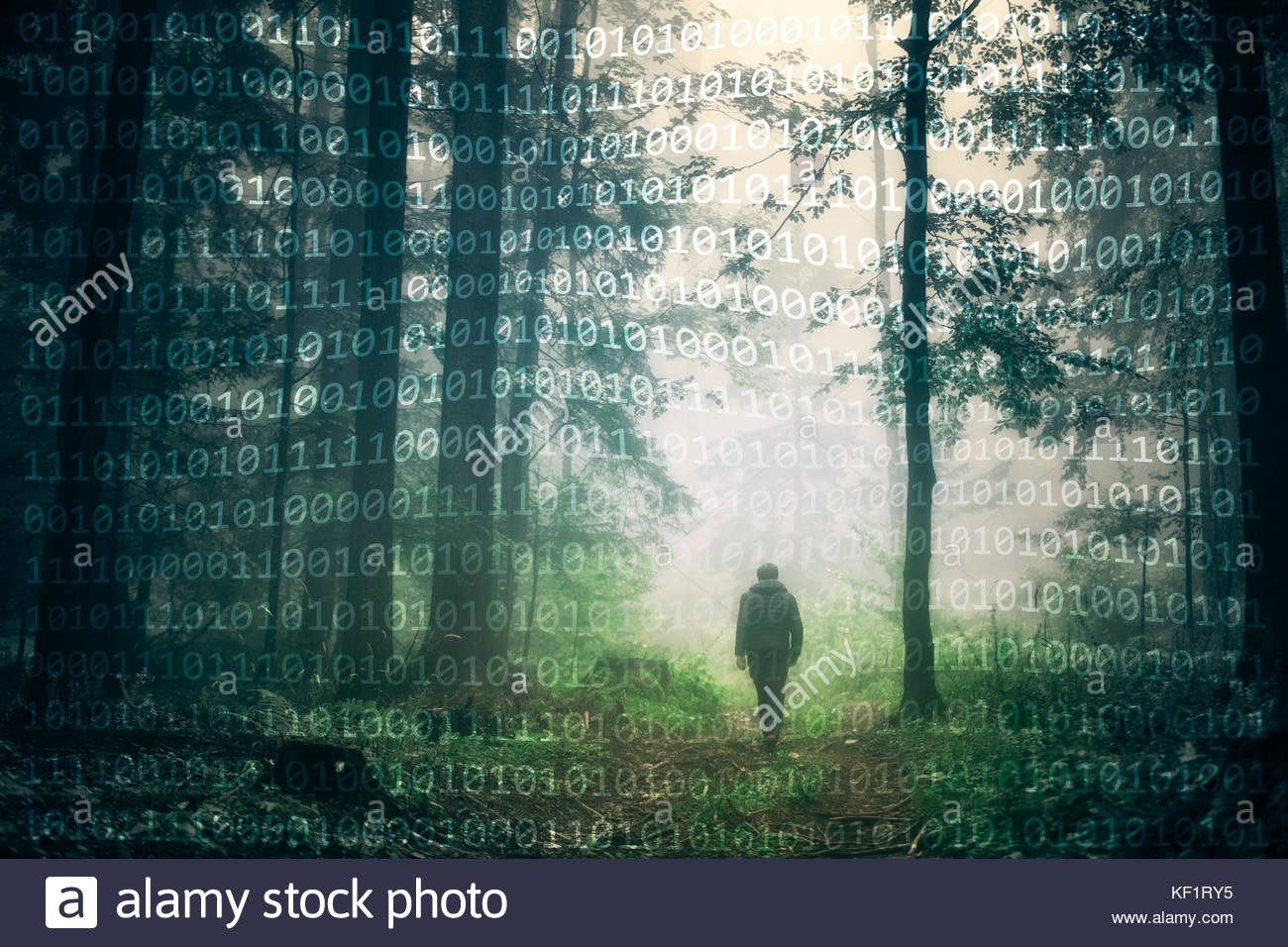 Man Walking In Dark Woods Stock Photos & Man Walking In Dark Woods ...