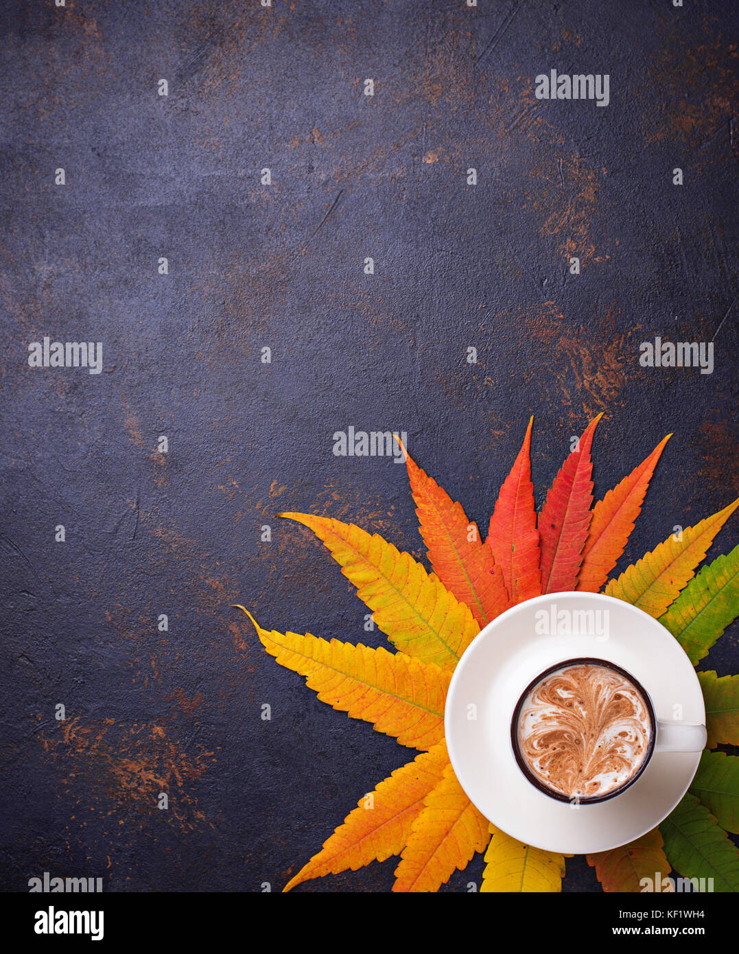 Autumn background with leaves and cup of coffee Stock Photo - Alamy