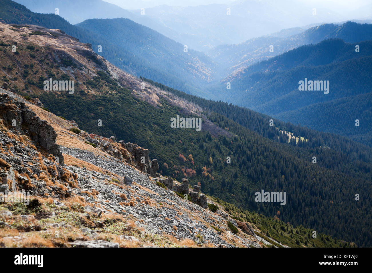 Calimani hi-res stock photography and images - Alamy