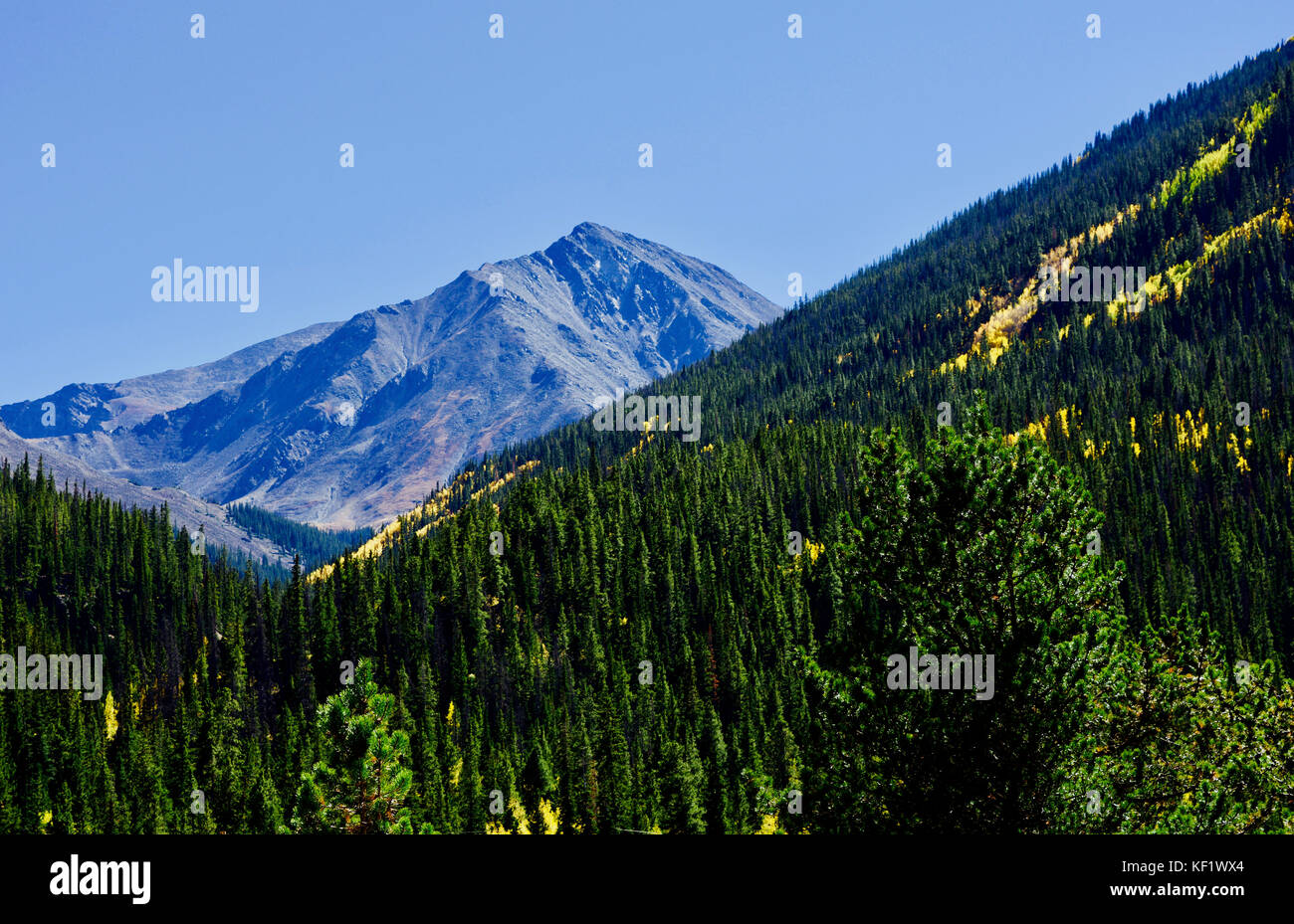 Grays and Torreys Peaks Colorado Stock Photo - Alamy