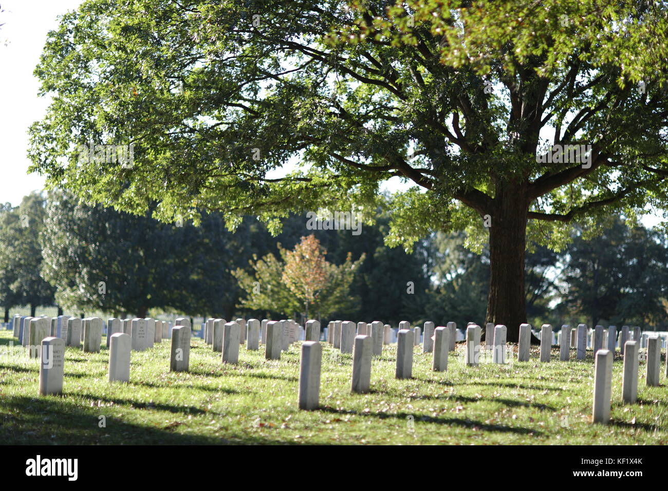 Resting warriors hi-res stock photography and images - Alamy