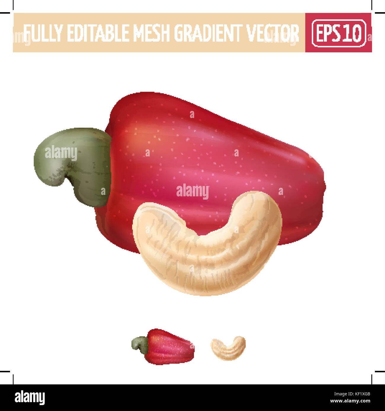 Cashew on white background. Vector illustration Stock Vector Image ...