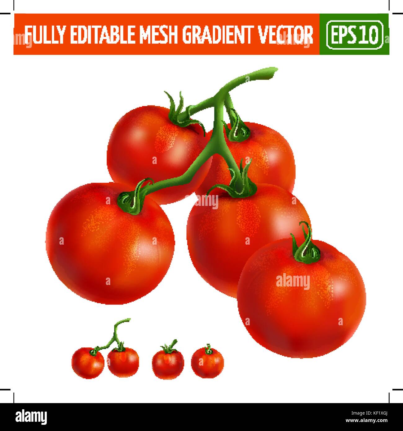 Cherry tomatoes on white background. Vector illustration Stock Vector ...