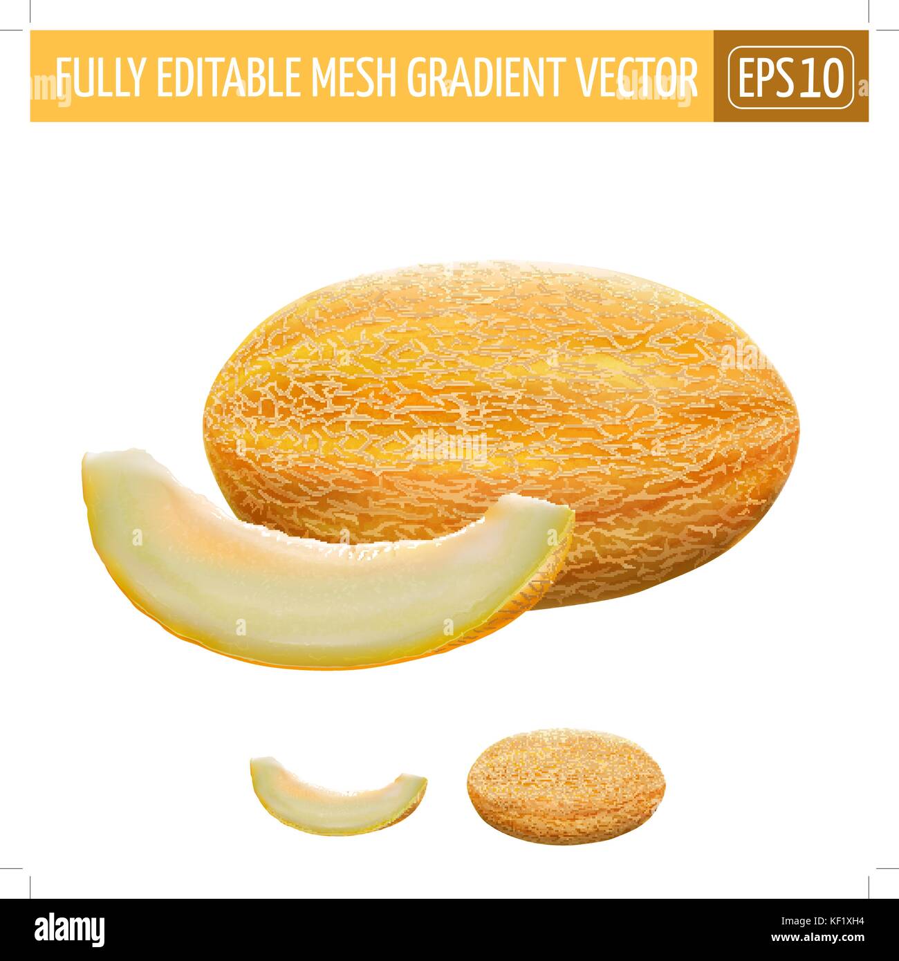 Melon on white background. Vector illustration Stock Vector Image & Art ...