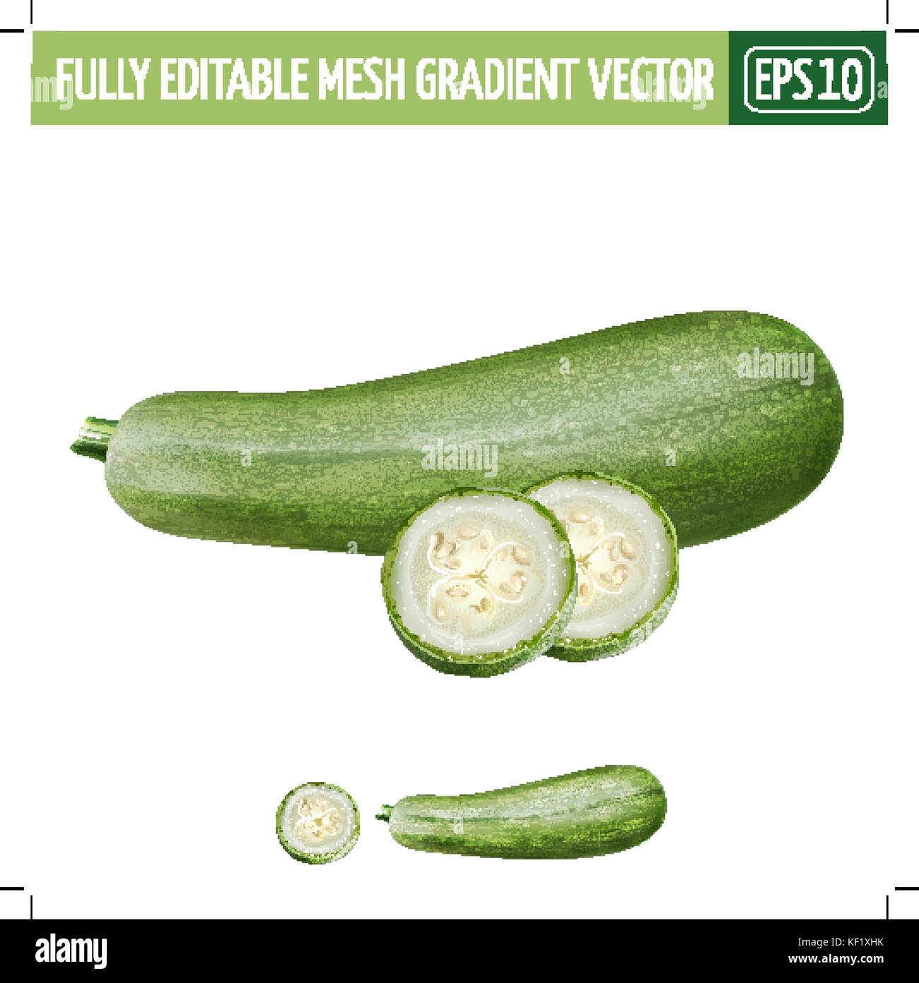 Zucchini on white background. Vector illustration Stock Vector Image ...