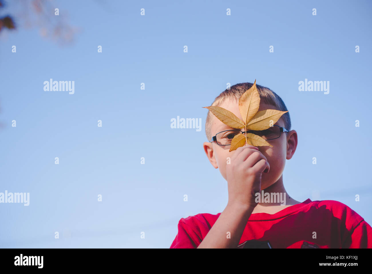 10-11 year old boy holding leaf in front of face Stock Photo - Alamy