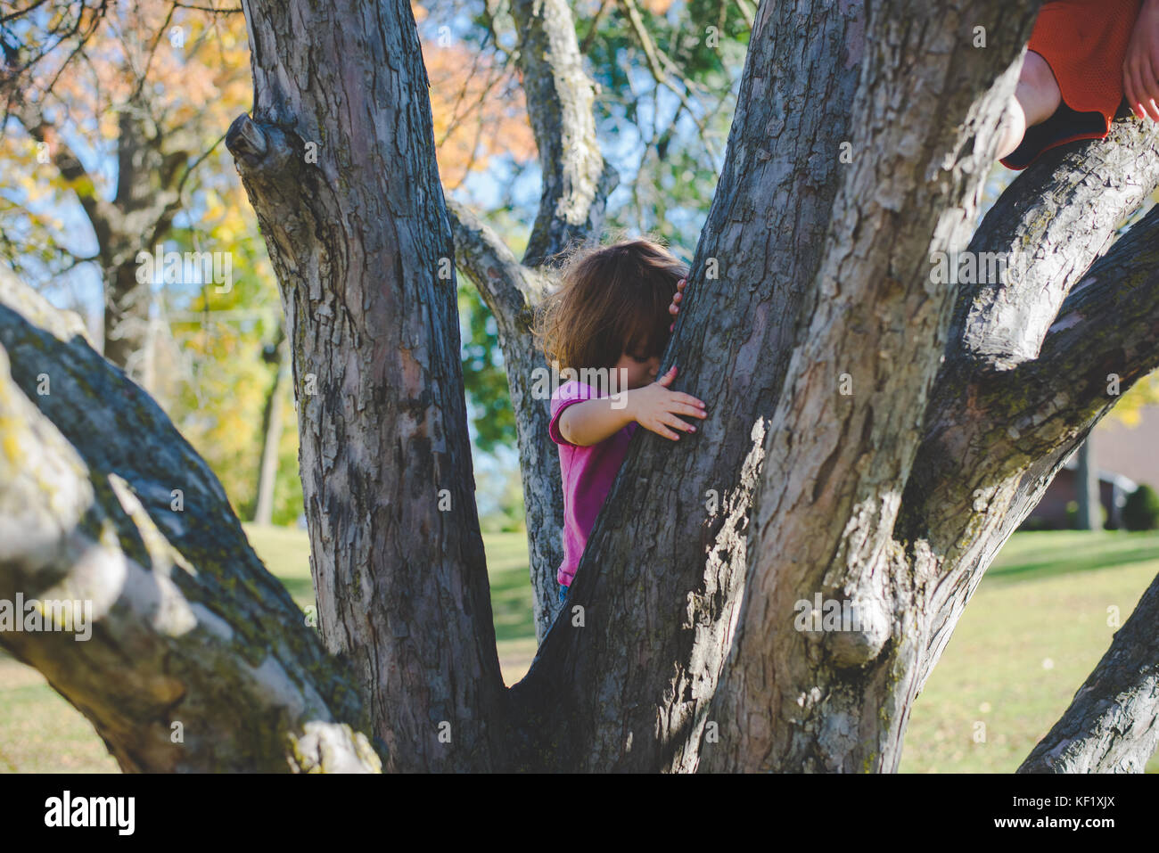 Child climbing a tree Stock Photo - Alamy