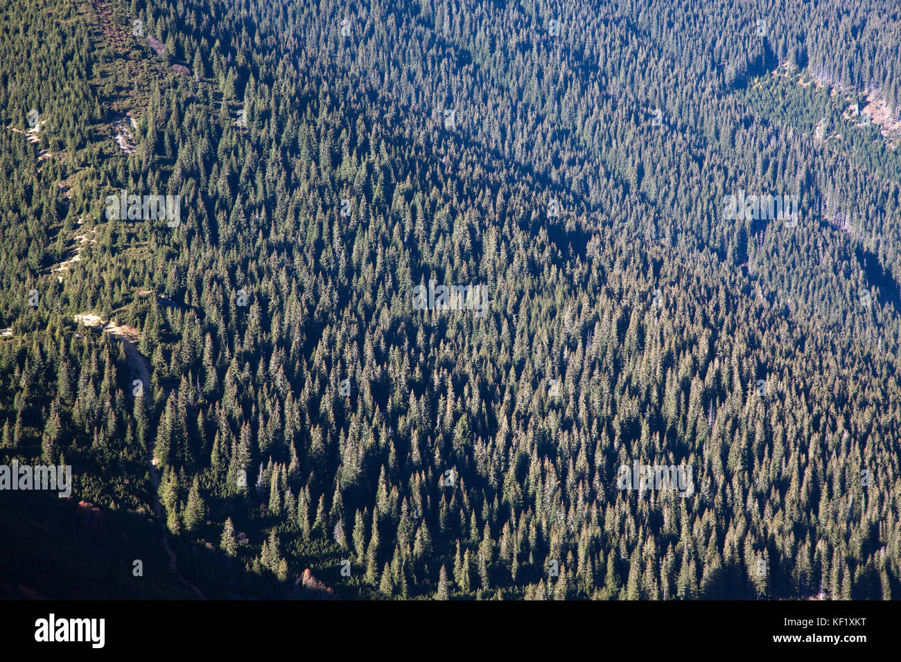 trekking in Calimani mountains, Romania Stock Photo - Alamy