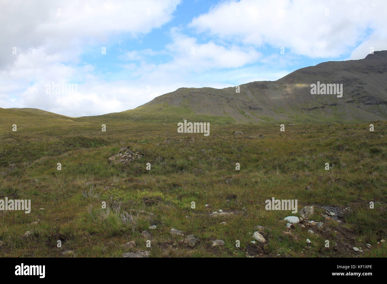 A meadow with low hills in the background Stock Photo - Alamy