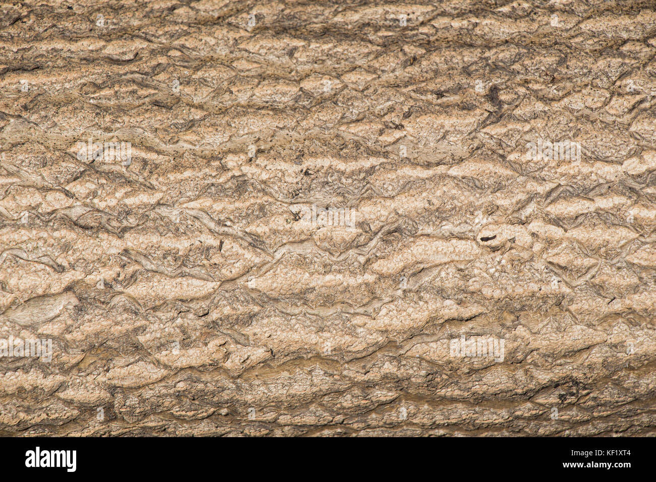 Wall surface as a simple background texture pattern Stock Photo - Alamy
