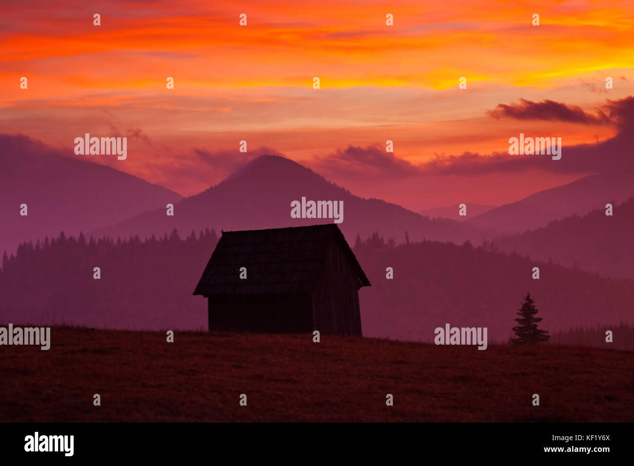beautiful alpine sunset with firs and cottage Stock Photo - Alamy