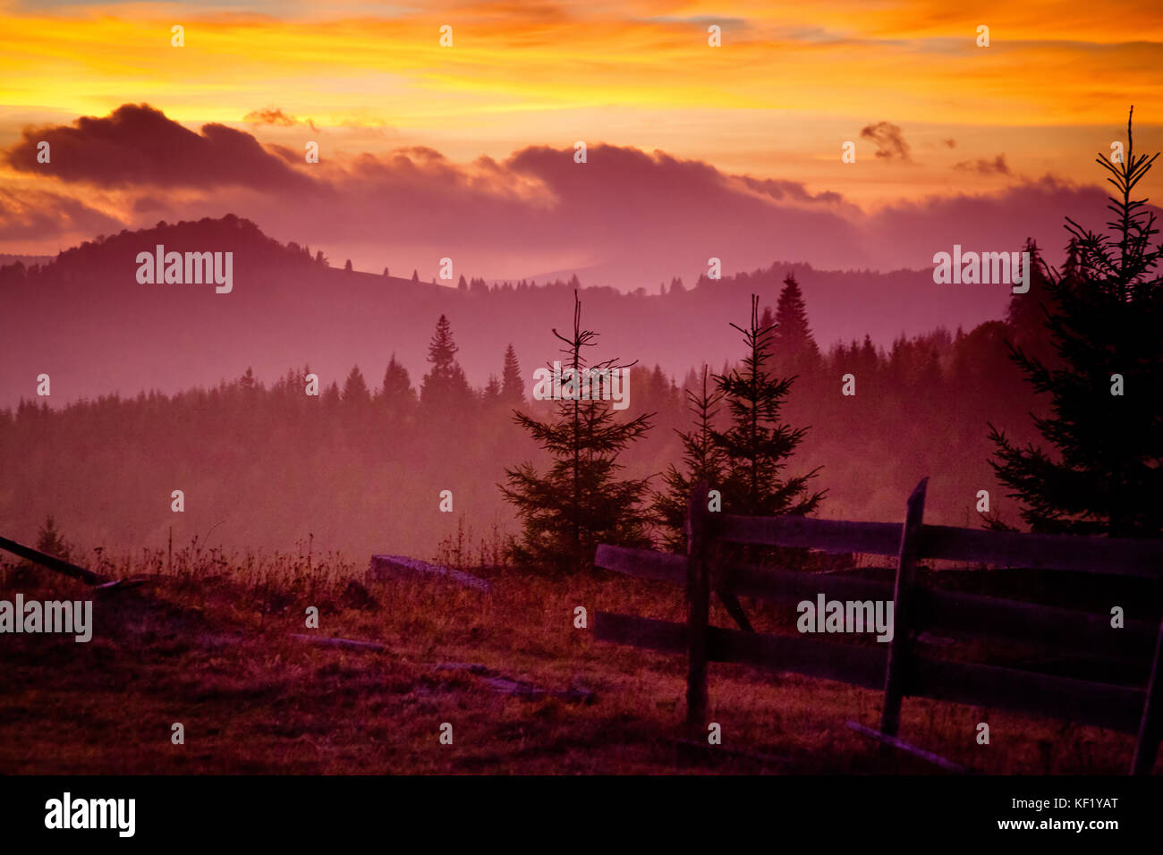 beautiful alpine sunset with firs and cottage Stock Photo - Alamy