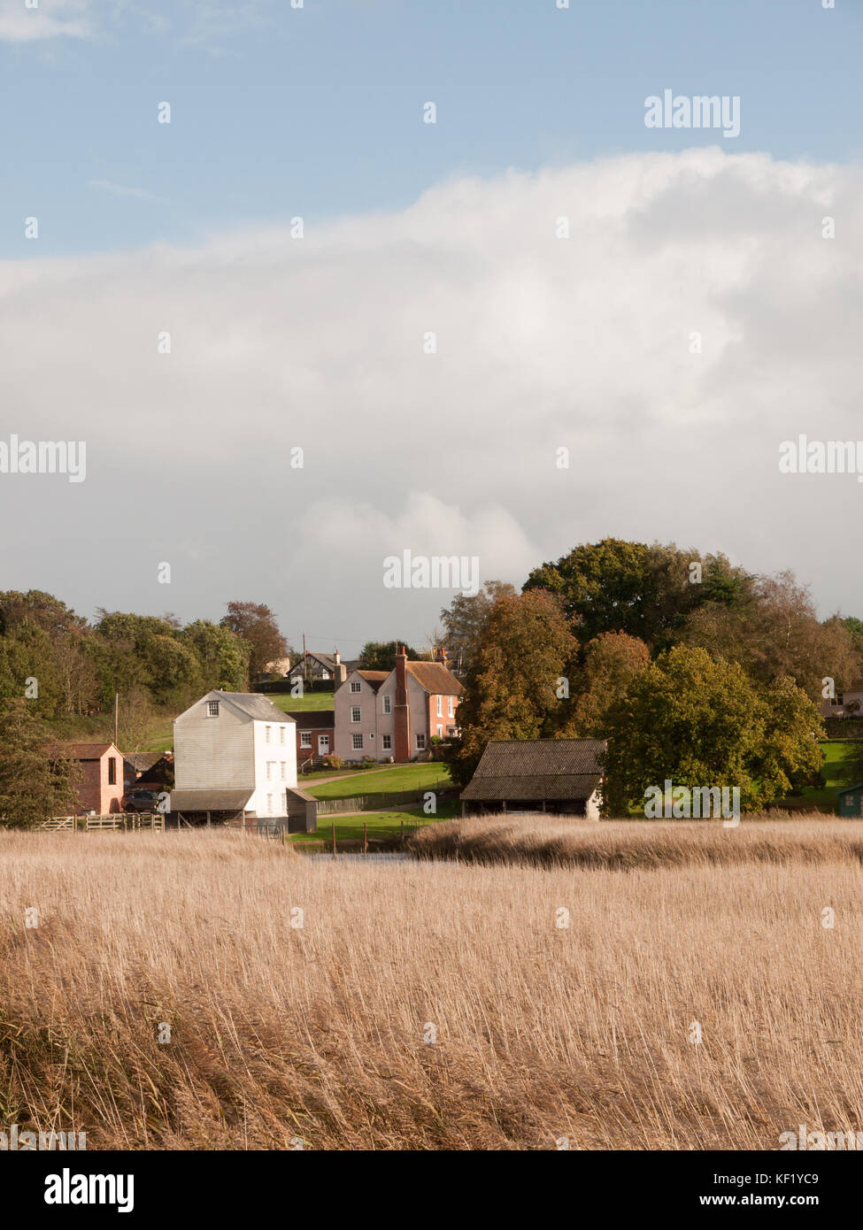 Marsh Harvester High Resolution Stock Photography and Images - Alamy
