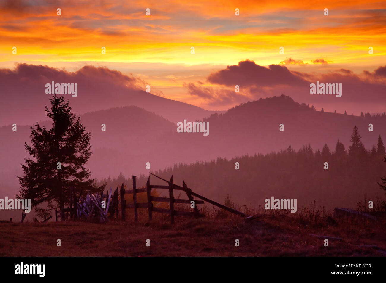 beautiful alpine sunset with firs and cottage Stock Photo - Alamy
