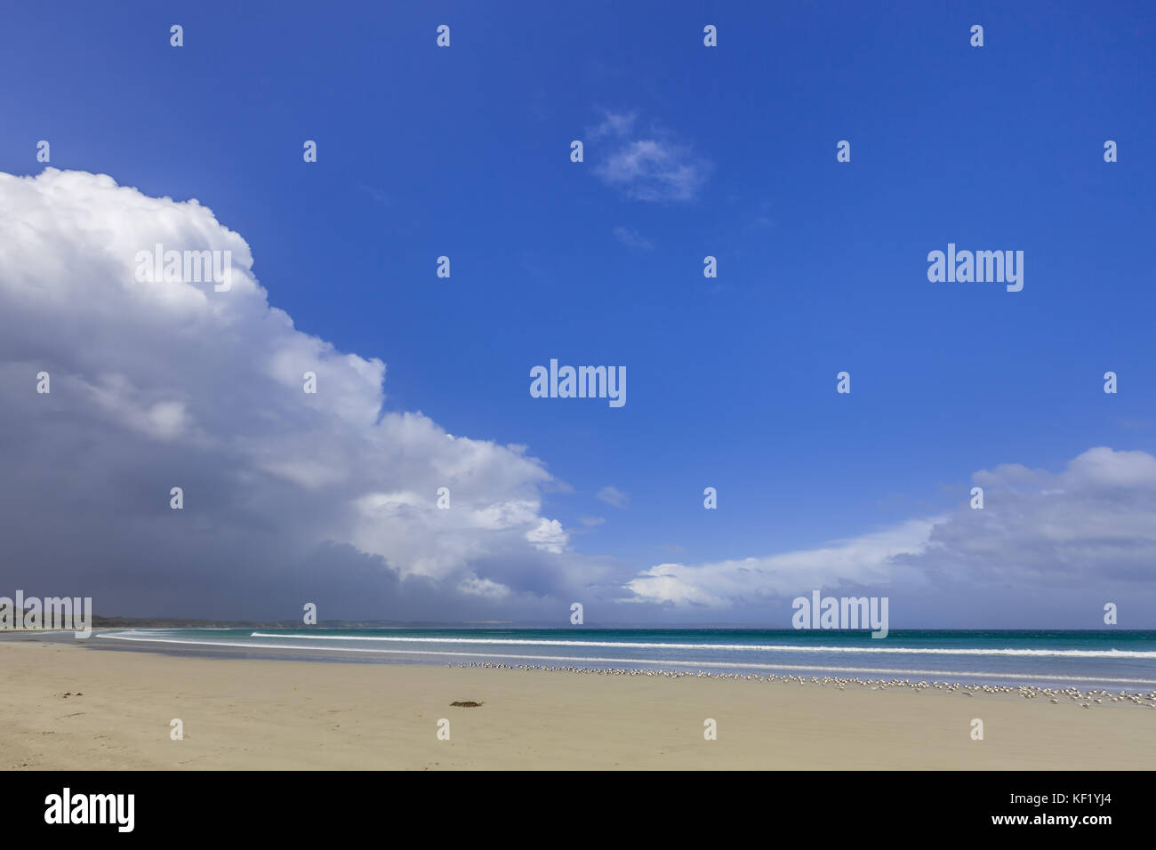 Cape Bridgewater ocean beach in Victoria, Australia Stock Photo - Alamy