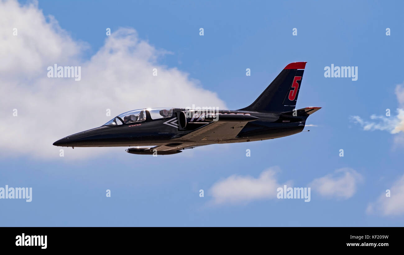 Airplane Patriots Jet Team L-39 Albatross jet flying at airshow Stock ...
