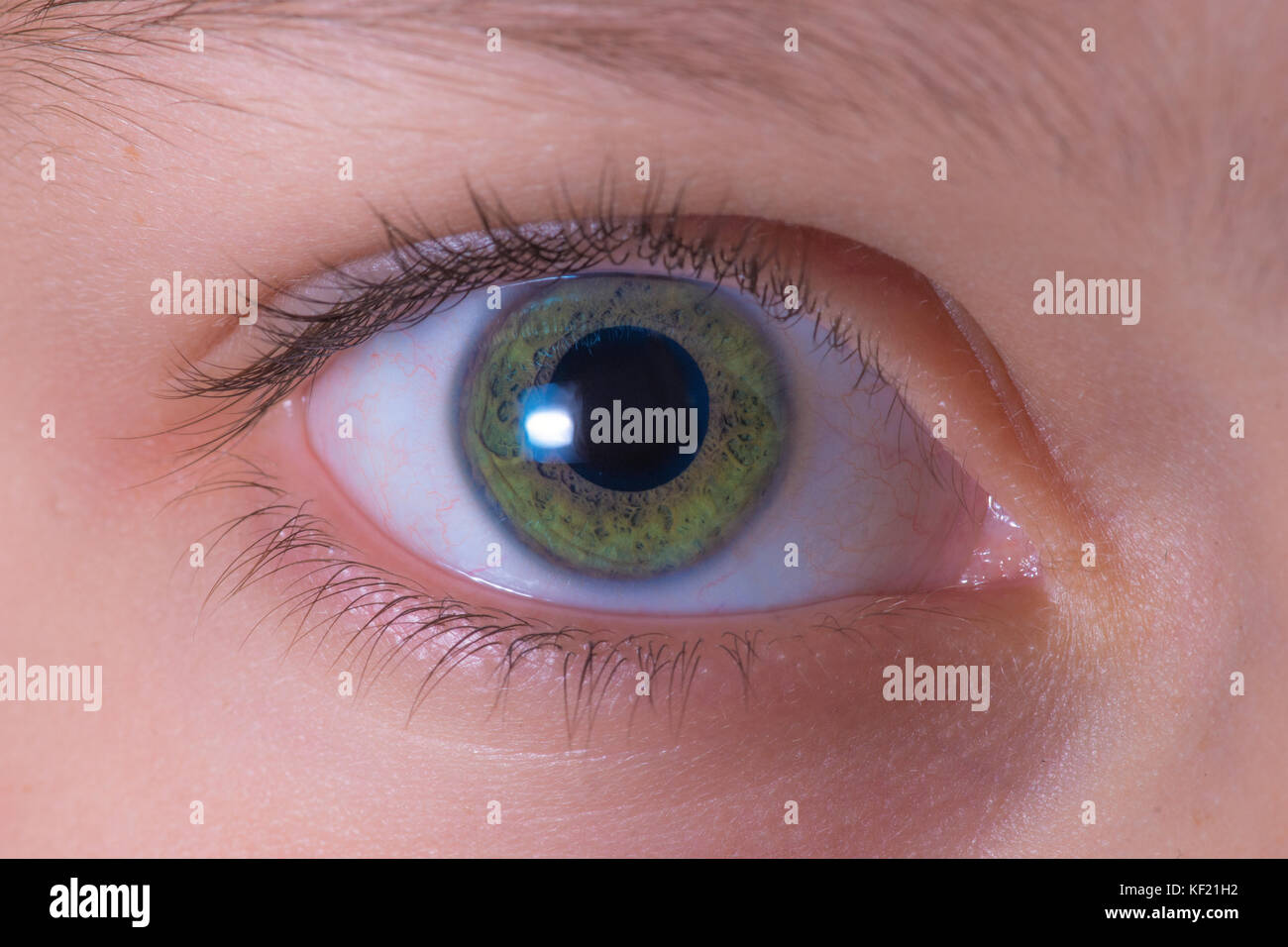 Human eye close up black and white hi-res stock photography and images ...