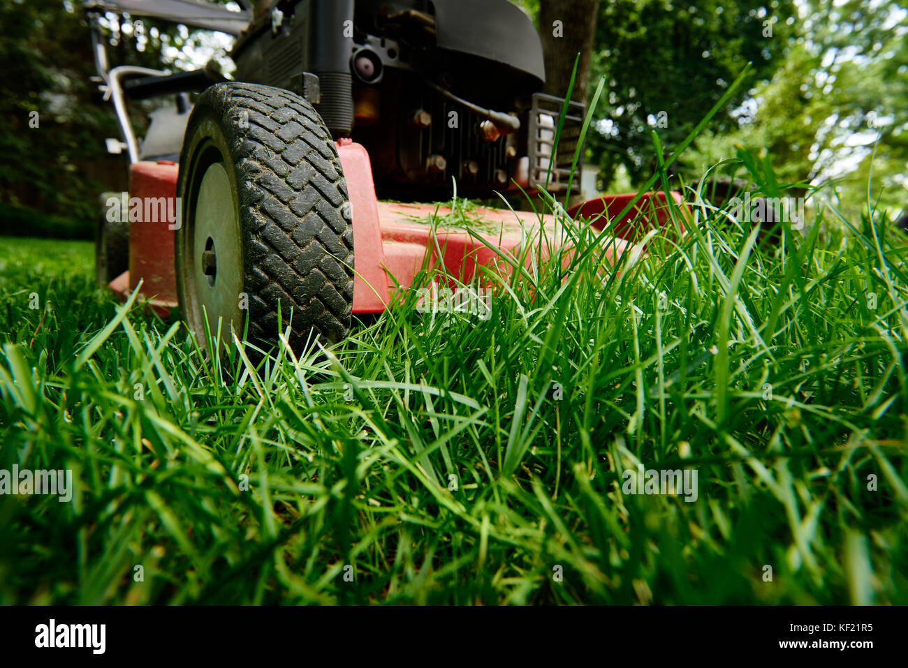 Low angle close up of lawnmower cutting fresh green grass Stock Photo ...