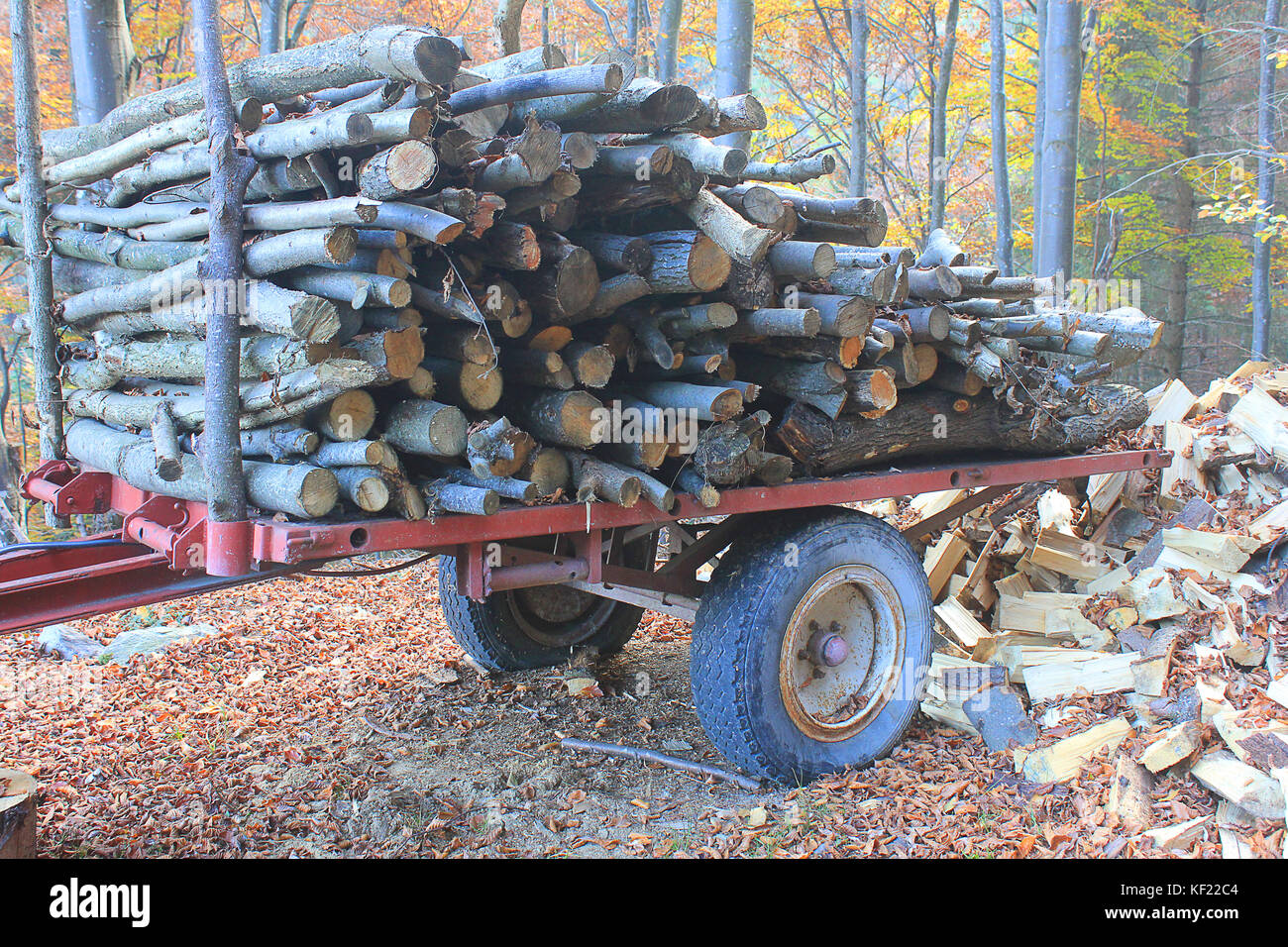 a barrow with trunks of wood Stock Photo - Alamy
