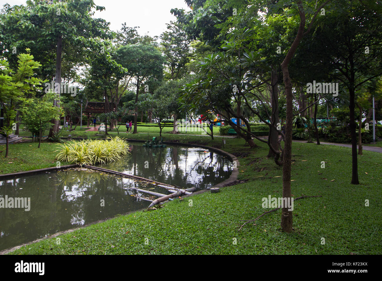 Moat and trees at Benchasiri Park in Bangkok, Thailand Stock Photo - Alamy