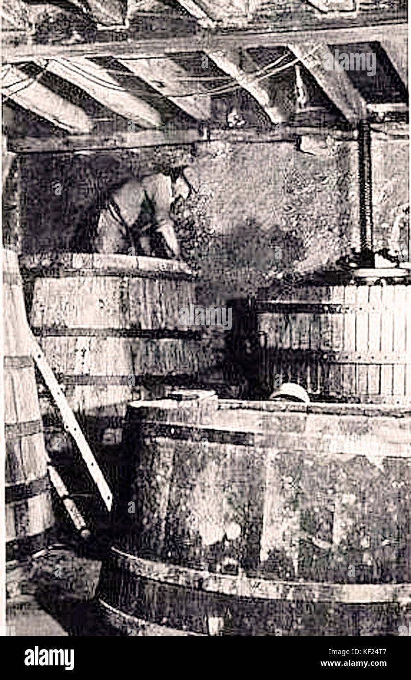 Foulage aux pieds dans le Val de Loire Stock Photo - Alamy