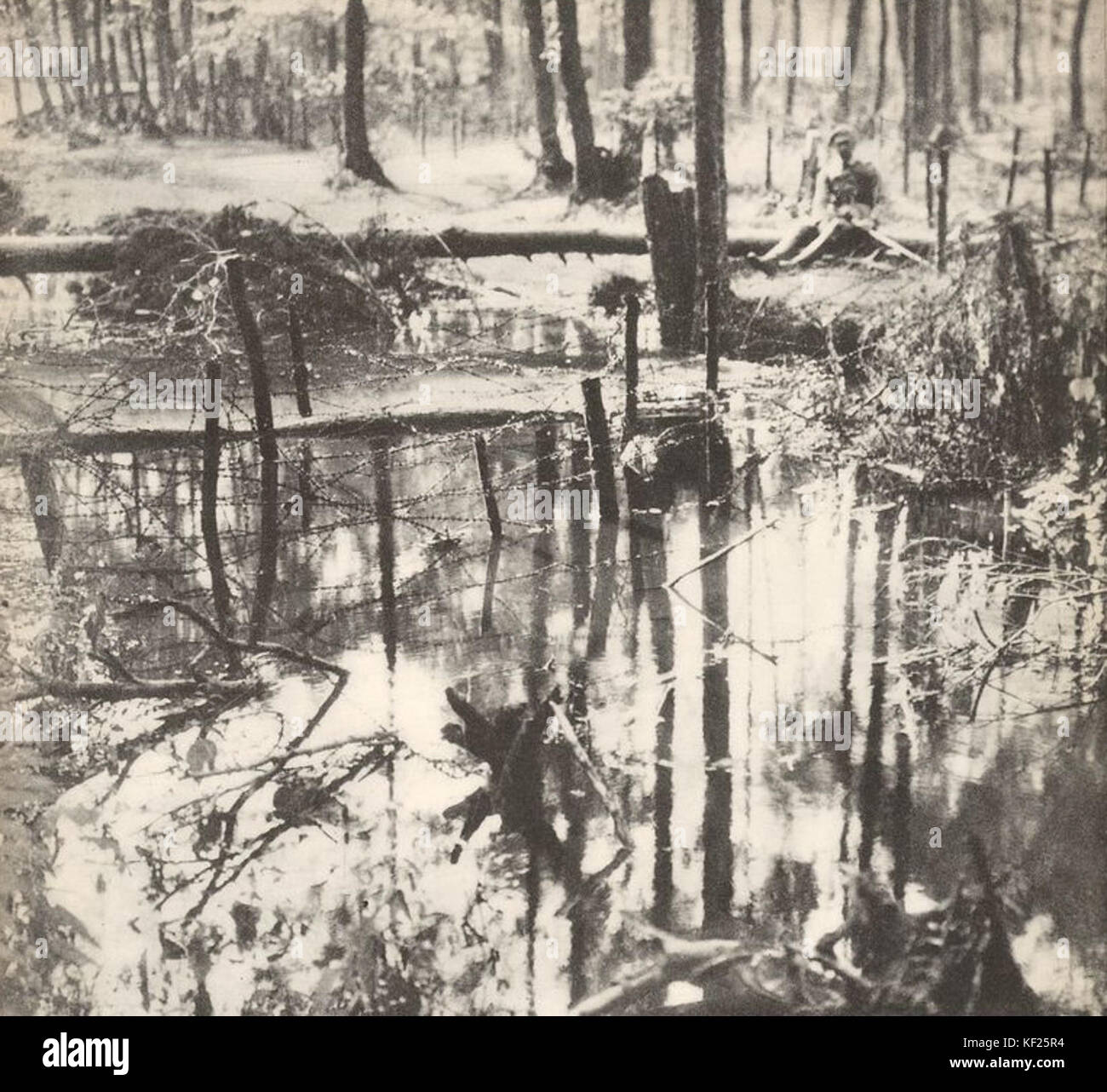 Legiony Polskie High Resolution Stock Photography and Images - Alamy