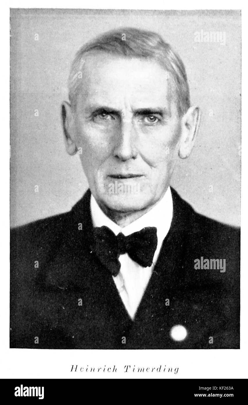 The portrait of Heinrich Timerding presents a historical figure ...