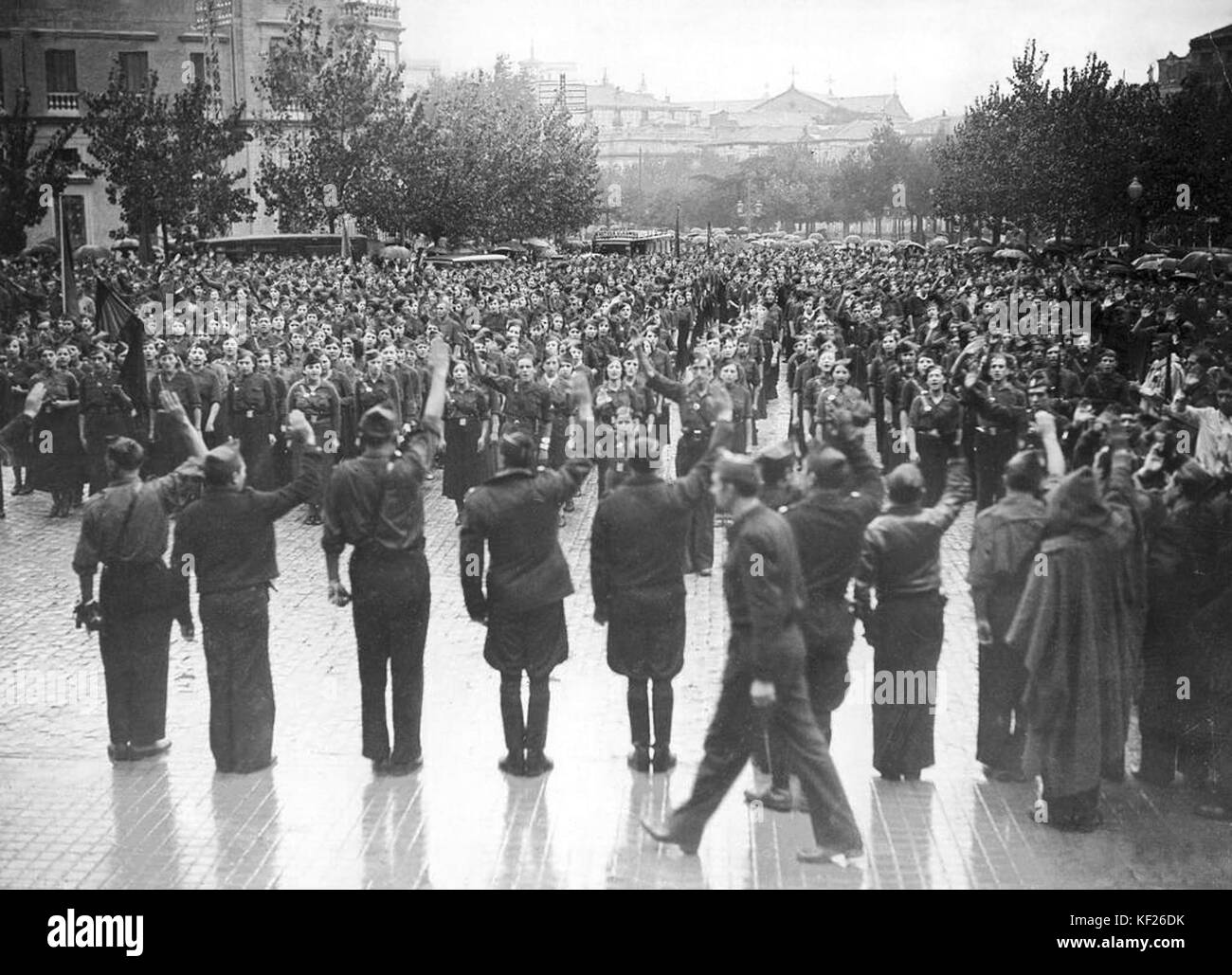 Falange hi-res stock photography and images - Alamy