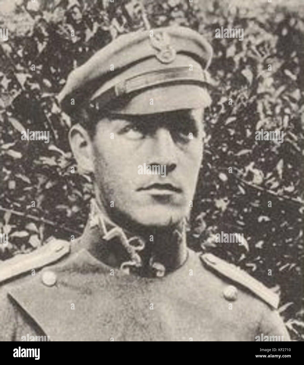 Leon strzelecki hi-res stock photography and images - Alamy