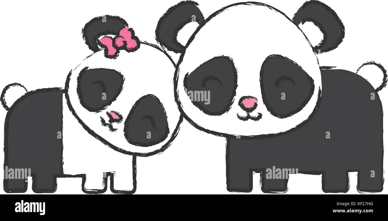 cute couple of panda bear icon over white background vector ...