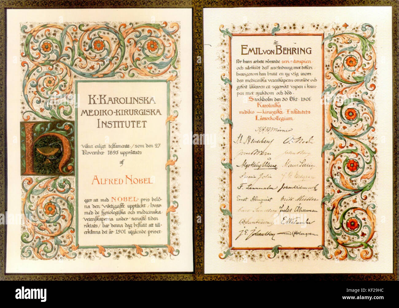 Emil v. Behring Nobel 1901 Stock Photo - Alamy