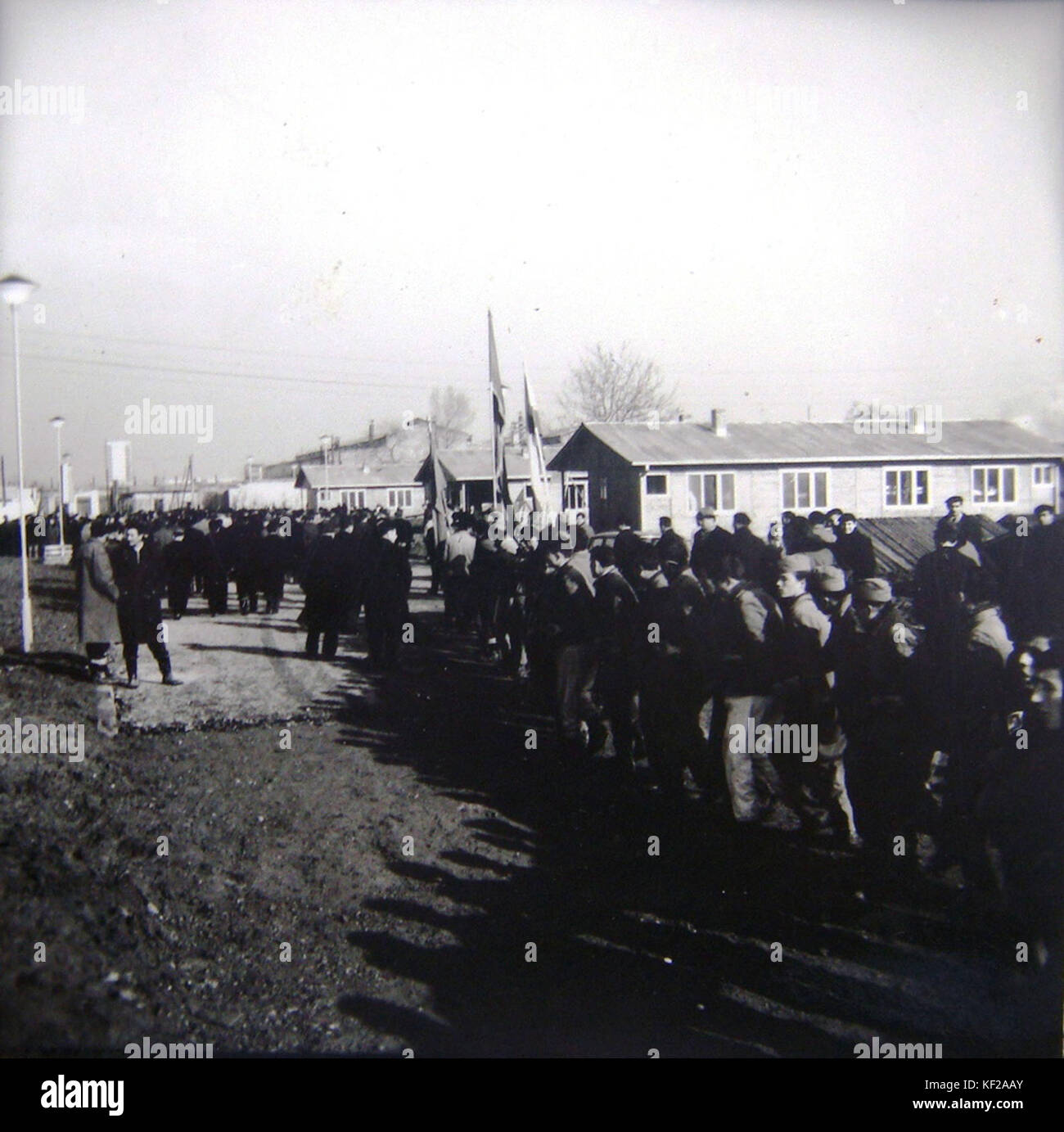 Kozle hi-res stock photography and images - Alamy